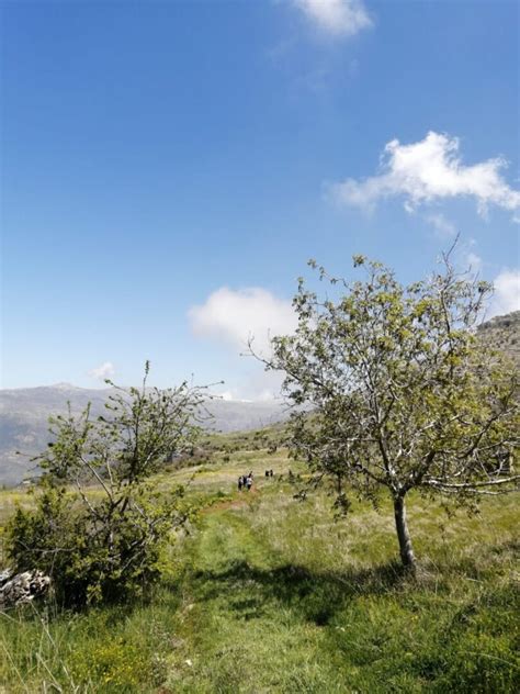 Adonis Waterfall And Pond Lebanon Tourism Guide