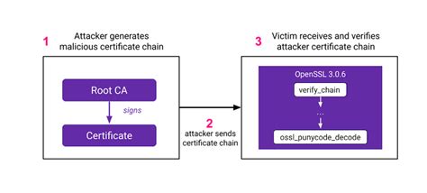 The Openssl Punycode Vulnerability Cve 2022 3602 Overview Detection
