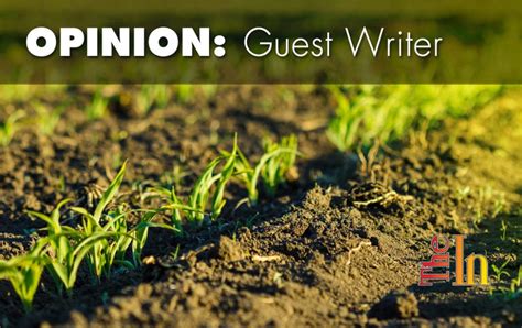 Four Tips For Dealing With Problem Soil The Independent Southern