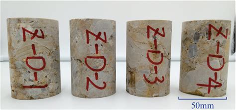 Experimental Specimen Photos Download Scientific Diagram