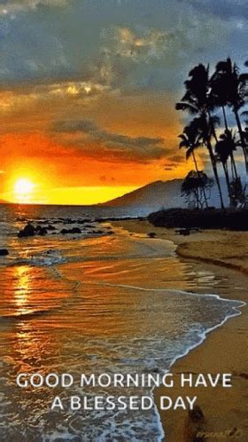 Happy Friday Beach Images S Tenor