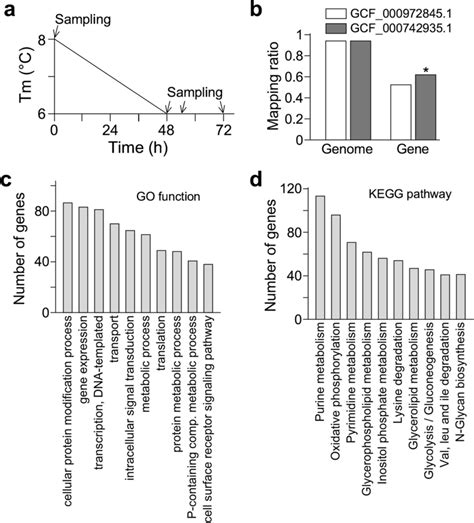 Overview Of Transcriptomic Analysis A Diagram Of Sampling Points Used