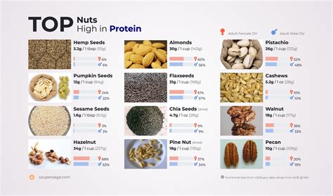 Top Nuts High In Protein