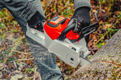 Chainsaw Close Up Of A Lumberjack Sawing A Large Rough Tree Lying On The Ground Sawdust Flying