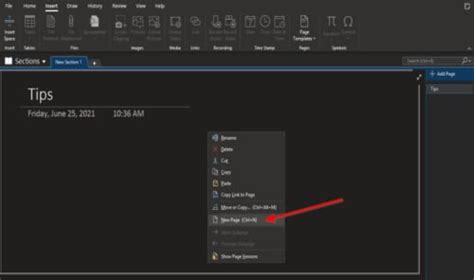 Basic OneNote Tutorials For Beginners To Get Started