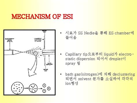 Esi Schematic And Layout