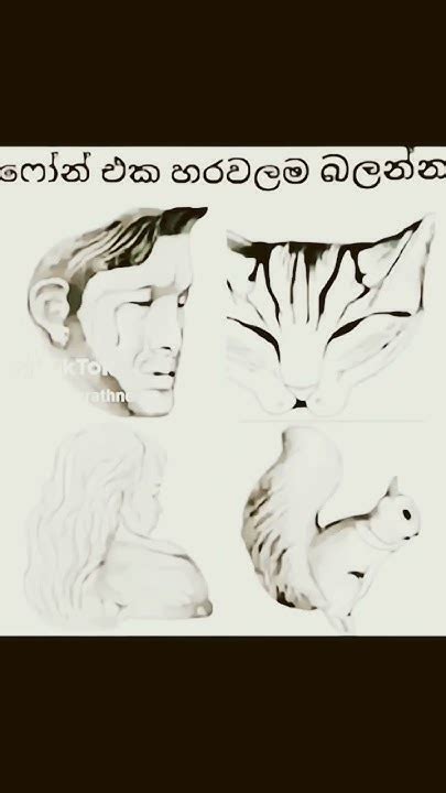 සබ්‍ර්‍ යිබ් කරන්න Youtube