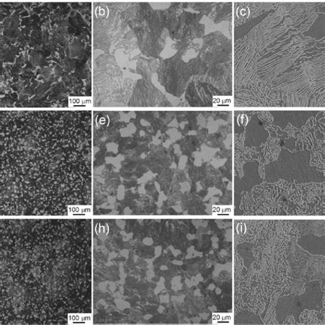 Pdf Microstructure Evolution During Continuous Cooling In Niobium Microalloyed High Carbon Steels