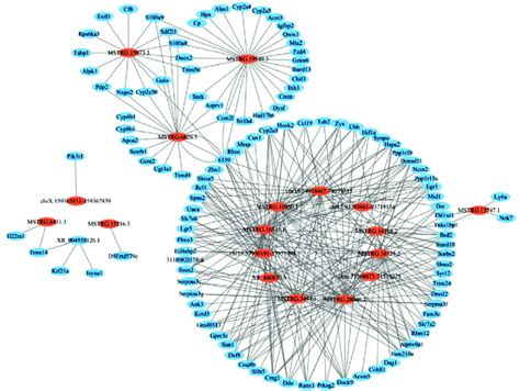 lncrna orange and mrna blue differential gene co expression