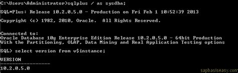 Upgrading Sap Oracle Database Sap Basis Easy