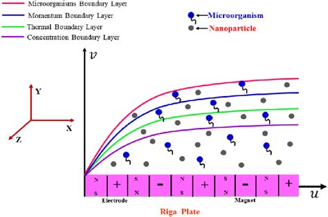 Schematic Representation Of Flow Model Download Scientific Diagram