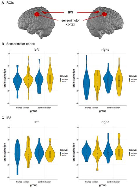 Finger Based Numerical Training Increases Sensorimotor Activation For