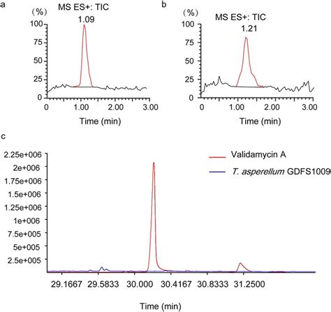 Impact Of T Asperellum Gdfs1009 On Validamycin A A Validamycin A Download Scientific