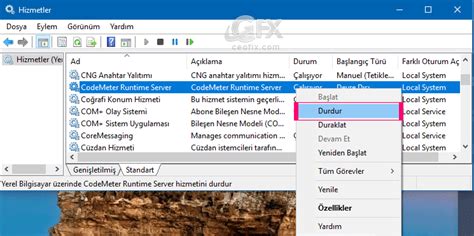 Codemeter On Windows Lalafkwik