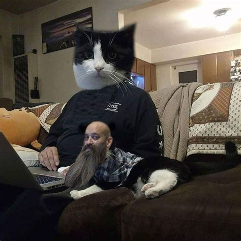 A Programmer Together With His Pet R Catswithjobs