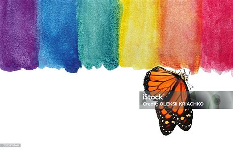 무지개의 색입니다 사진 수채화 종이 질감입니다 추상적인 수채화 배경입니다 젖은 수채화 종이 질감 배경입니다 여러 가지 빛깔의 수채화 얼룩과 다채로운 군주 나비 개념에 대한