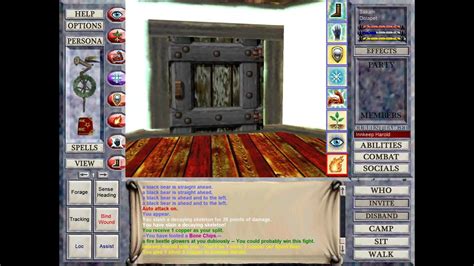 Everquest Original Ui