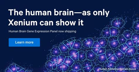 In Situ Gene Expression 10x Genomics 10x Genomics