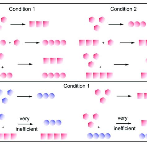 Secondary Nucleation And The Transmission Of Structural Information Download Scientific