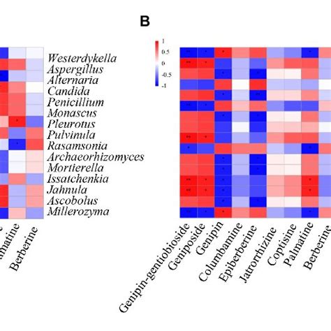 Spearman Correlation Heatmap Between Dominant A Fungal And B