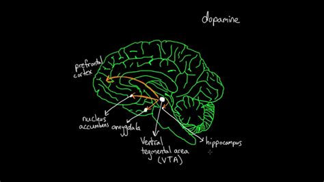 Psychology Wallpapers 4k Hd Backgrounds On Wallpaperbat