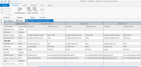 Arcgis Subtype Kullanılan Featureclass Ile Domain Kullanımı Bayram Üçüncü