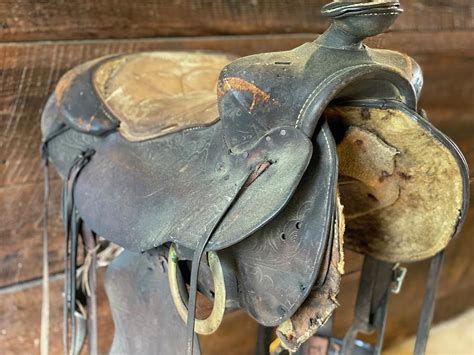 Embedded Journey Photograph By Beth Andrews Fine Art America