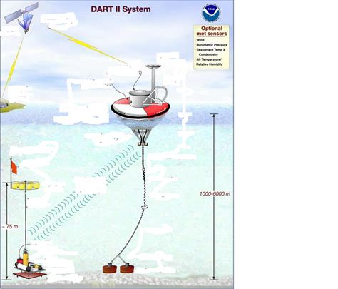 Tsunami Warning System DART Diagram Quizlet