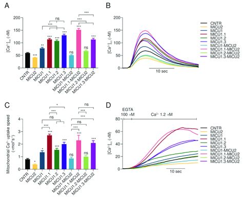 Micu1 Splicing Variants Differentially Regulate The Mitochondrial Ca 2