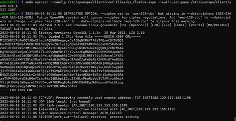 Openvpn Is Installed But I Cant Connect Correctly What Username And