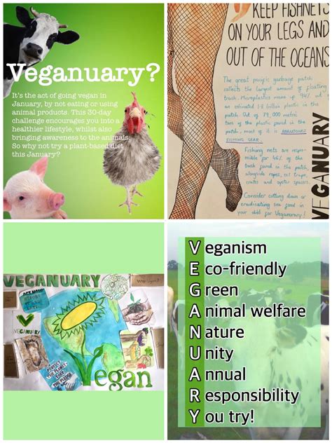 Art And Design Solihull College And University Centre Facebook