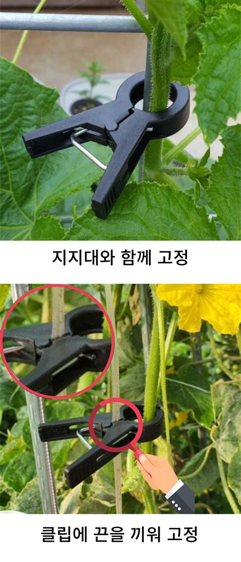 본 제품을 구매하시면 원활한 배송을 위해 꼭 필요한 고객님의 개인정보를 성함 주소 전화번호 등 택배사 및 제 3업체에서 이용하는 것에 동의하시는 것으로 간주됩니다