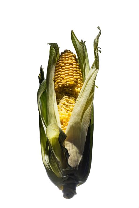 Pin Di Scarlet Majin Su Graficos Nel 2024