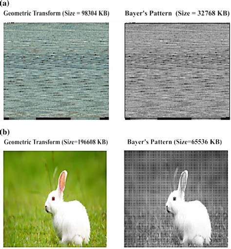 A Bayers Pattern Of Iris Spherical Image And B Bayers Pattern Of Download Scientific Diagram