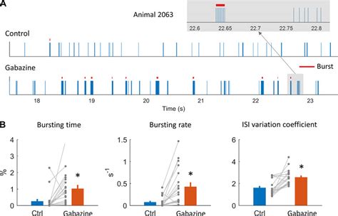 Gabaergic Inhibition Prevents The Natural Bursting Behavior Of Neurons