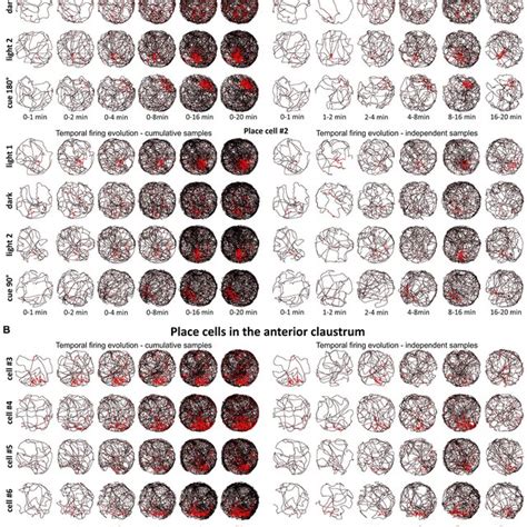 Temporal Evolution Of Firing Of Claustral Place Cells A Temporal