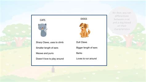 Knn Algorithm How Knn Algorithm Works With Example Data Science For