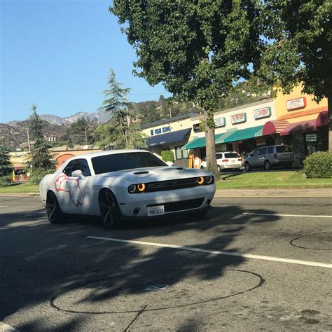 I Want Everyone To Know I Am A Dick Driver Rshittycarmods