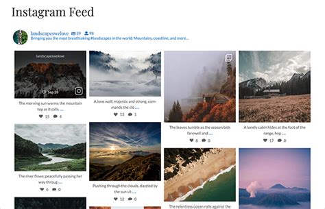How To Add An Instagram Widget In WordPress Step By Step