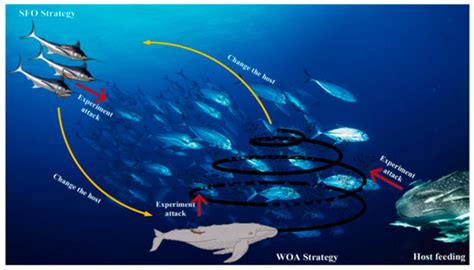 Improved Remora Optimization Algorithm With Mutualistic Strategy For
