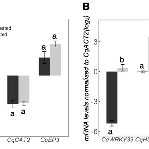 Quinoa Plants Infected With P Variabilis The Figure Shows Download Scientific Diagram