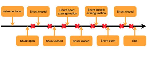 Dilution Cardiac Output Measurement Av Loops Are Available For Download Scientific Diagram