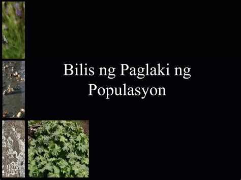 Sanhi At Epekto Ng Bilis Ng Paglaki Ng Populasyon Pptx