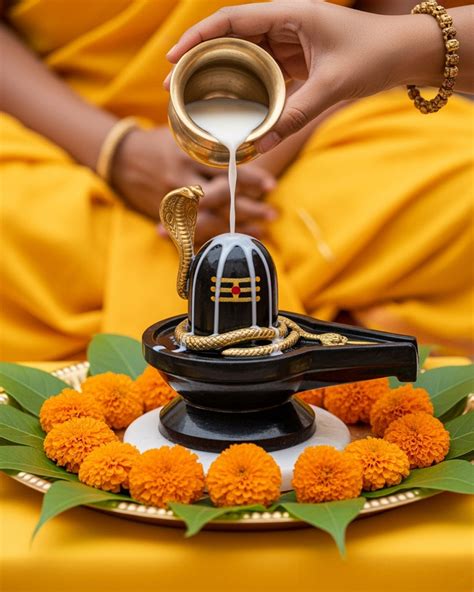 Rudrabhishek Shiv Abhishekam House Of Puja Devotion Across Borders