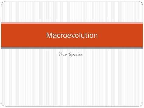 Ppt Macroevolution Powerpoint Presentation Free Download Id 2576096