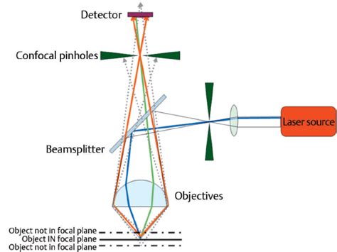 33 Laser Scanning Confocal Microscopy And Laser Microdissection Musculoskeletal Key