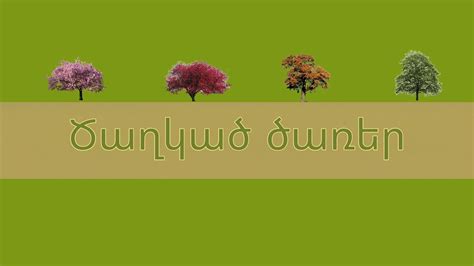 Ծաղկած ծառեր Youtube