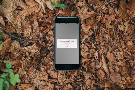 Swift 新手系列之一 打造你的第一個 Ios App
