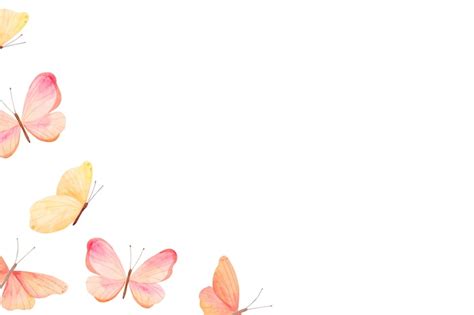 나비 수채화 텍스처 이미지 Freepik에서 무료 다운로드