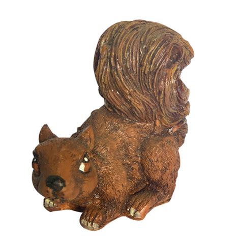 Grey Or Brown Squirrel Indigo Garden Centre